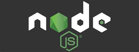 Programming Introduction A Brief Of Node JS Laravel React Ruby Vue
