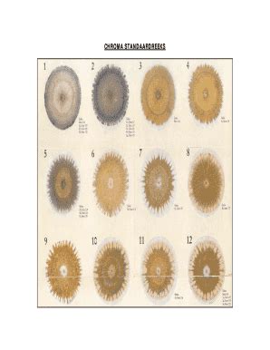 Fillable Online Groeibalans CHROMA STANDAARDREEKS Groeibalans Nl Fax Email Print PdfFiller
