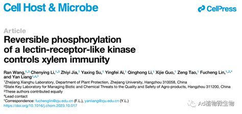 Cell Host And Microbe 浙江大学梁岩林福呈团队在植物木质部免疫机制研究方面取得重要进展！ 知乎