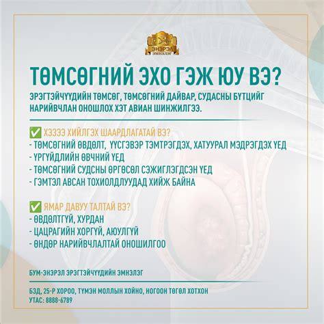 Бум Энэрэл Эмнэлэг Төмсөгний эхо гэж юу вэ⁉️ Эрэгтэйчүүдийн төмсөг төмсөгний дайвар судасны