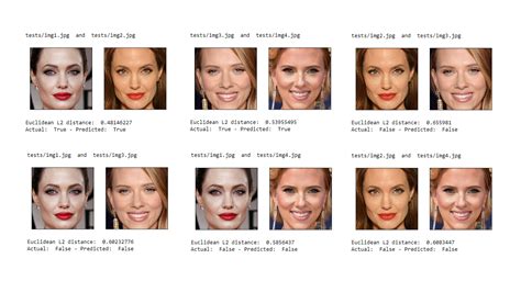Face Recognition With Facebook Deepface In Keras Sefik Ilkin Serengil
