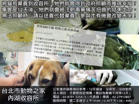 『內湖收容所』0301～0313公告內容僅供協尋領回參考，12天過後沒病死、沒自動死、沒人領回、才會開放領養～201 Flickr