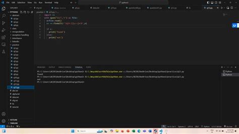 Prachi Marria On Linkedin Codingchallenge Python 100daysofcode Regex Filehandling