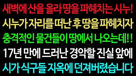실화사연 새벽에 산을 올라 땅을 파헤치는 시누 시누가 자리를 떠난 후 땅을 파헤치자 충격적인 물건들이 땅에서 나오는데 실화사연신청사연사이다썰반전사연사연라디오