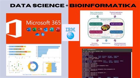 Kualitas Itb Analisis Pengolahan Statistik Visualisasi Intepretasi Data Dan Bioinformatika