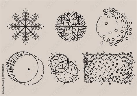 Vector Cad Blocks Style Trees In Plan Architecture Presentation Stock