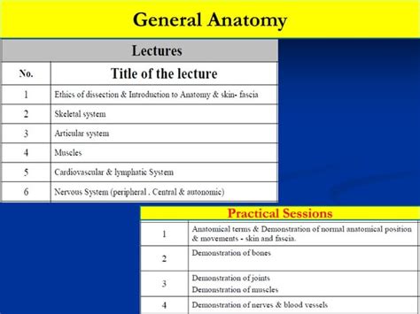 1 Cpp Introduction To Anatomy 2020 Drgamal Ppt