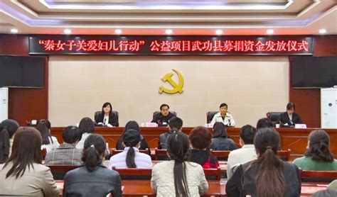县妇联举行“秦女子关爱妇儿行动”公益项目武功县募捐资金发放仪式街道