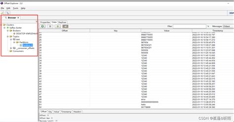 Kafka客户端生产者消费者kafka可视化工具（可生产和消费消息）kafka客户端工具 Csdn博客