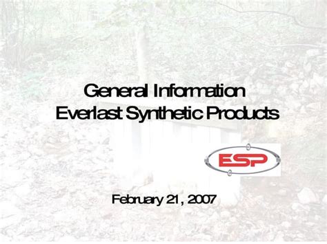 Seawall Presentation Ppt