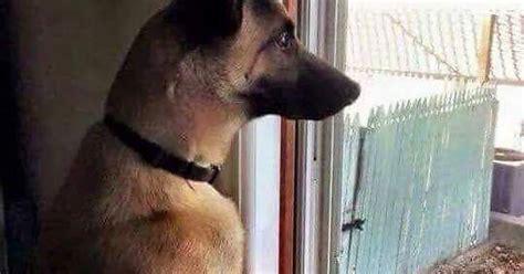 And Counting Album On Imgur