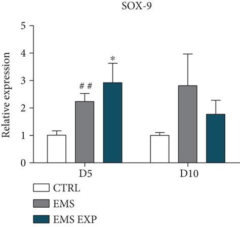 Effectiveness Of Chondrogenic Differentiation Prior To Experiments