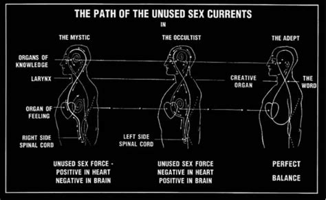 Higher Science Of Male Sexual Energy Current Flow R CommunalShowersCal