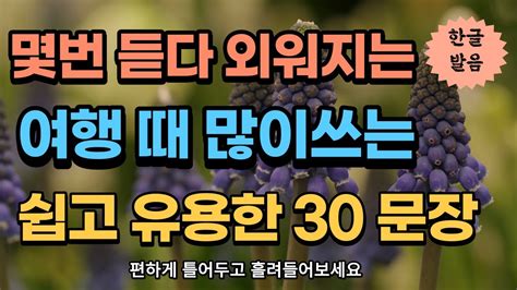 여행영어 정말하루 30분만 여행지에서 많이 쓰는왕초보영어회화 흘려듣기 식당과 거리에서 쓰이는 문장모음 기초영어회화 초보영어 영어듣기 쉐도잉 Youtube