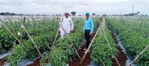 Saurabh Zagade On Linkedin Internshipexperience Syngenta Agriculture Learningandgrowth