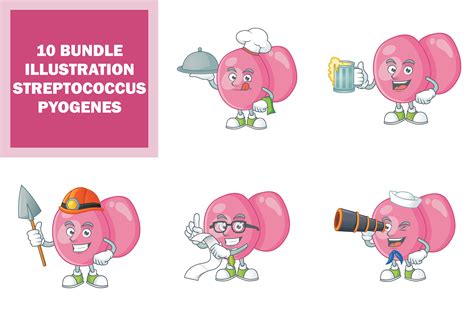 Streptococcus Pyogenes Bundle Graphic By Kongvector2020 · Creative Fabrica