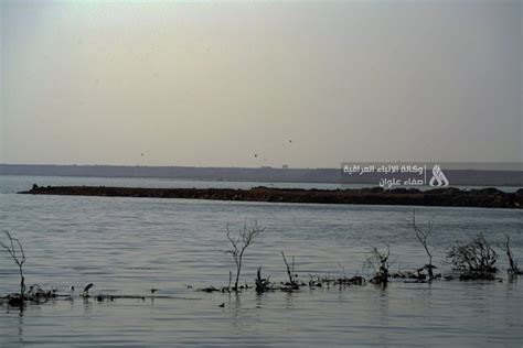 آخرین خبر تصاویر بسیار زیبای دریاچه نجف