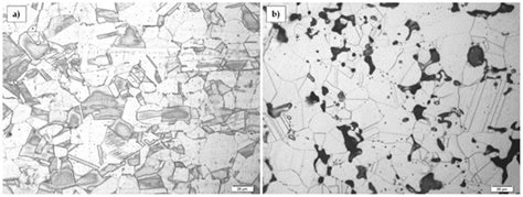 Austenite Microstructure