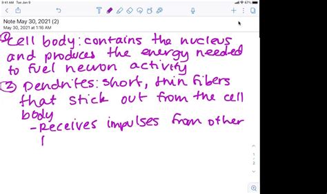 Solved What Are The Parts Of A Neuron And How Is An Action Potential Transmitted By A Neuron