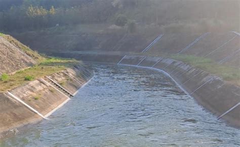 ဖြူးမြို့နယ်အတွင်း နွေစပါးစိုက်ပျိုးနိုင်ရေး ဖြူးချောင်းရေလှောင်တမံမ