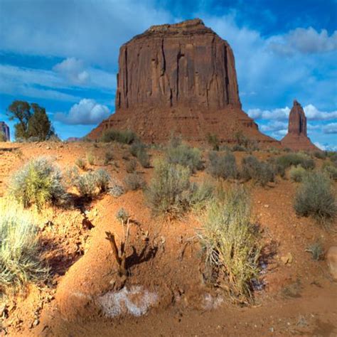 How To Visualize Attention Map Vision Pytorch Forums