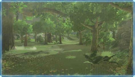 Botw Captured Memories Locations And Rewards Zelda Breath Of The