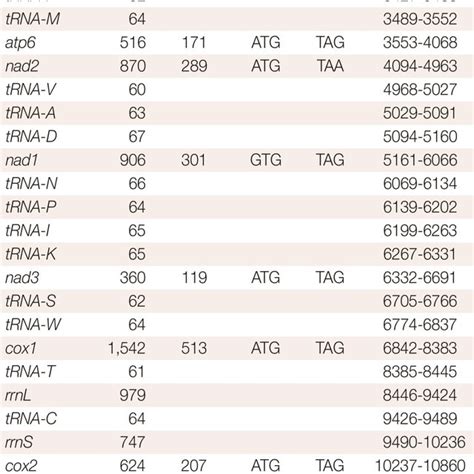 Position And Characteristics Of Protein Coding And Non Coding Sequences