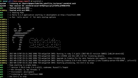 Overmind Is Not Showing Colors Properly Issue DarthSim Overmind GitHub
