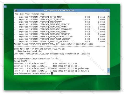 oracle Üzerinde data pump ile export ve import Çözümpark