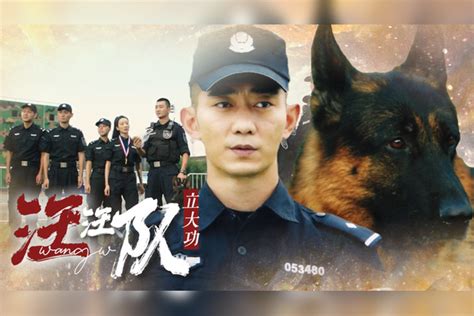 七小汪警犬队汪汪队立大功训导员和忠犬的友谊升温之路