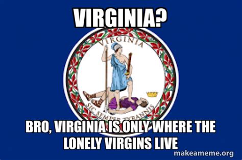 Virginia Bro Virginia Is Only Where The Lonely Virgins Live Meme Generator