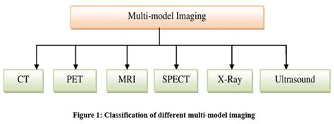 Multi Modalities Medical Image Fusion Using Deep Learning And Metaverse