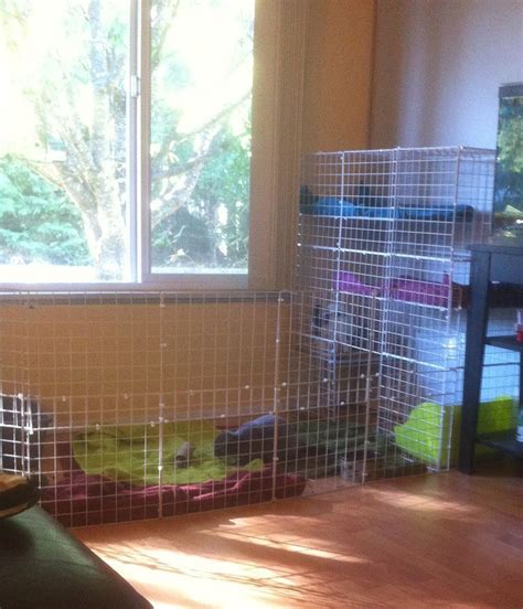 25 Best Images About DIY Rabbit Cage On Pinterest Amigos Rabbit Cages And Indoor Rabbit