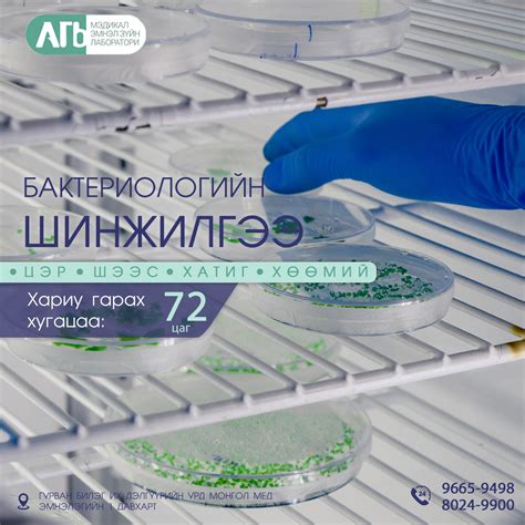 👍АНТИБИОТИКИЙГ ХЭРХЭН ЗӨВ АГЬ медикал клиник эмнэлэг