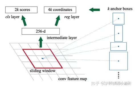 faster rcnn中的rpn网络 知乎