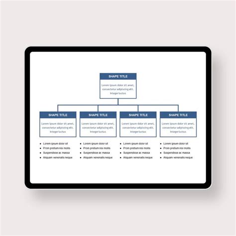 Basic Organization Powerpoint Templates