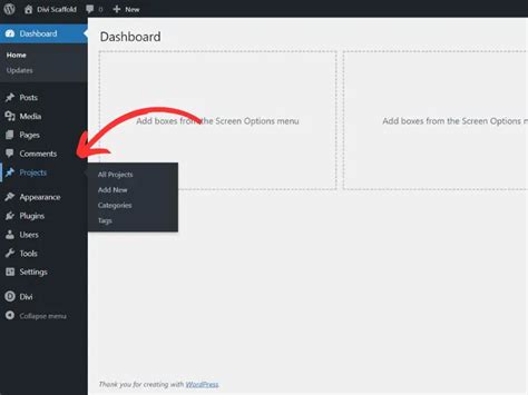 How To Hide Project Cpt From Divi Theme Mauro Bono