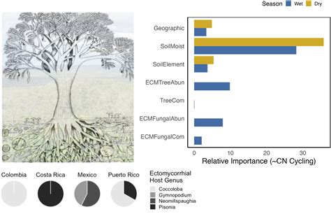 Journal Of Ecology Vol 111 No 8