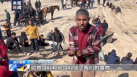 饥荒加剧 加沙地带民众苦苦等待救援物资新闻中心中国网