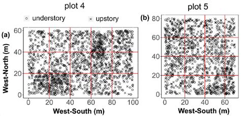 Distribution Of Trees Species In The Sampling Plots A Plot B Download Scientific Diagram
