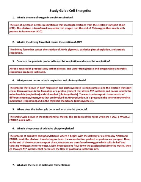 Ap Bio Study Unit 3 Study Guide Study Guide Cell Energetics What Is