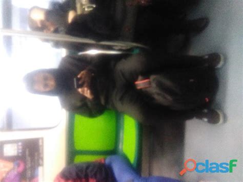 Soy Hombre Y Busco Chicas Calientes Y Cachondas En Magdalena Contreras Clasf Contactos