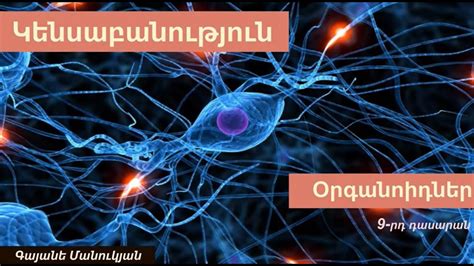 Կենսաբանություն Օրգանոիդներ․ 9 րդ դասարան Youtube