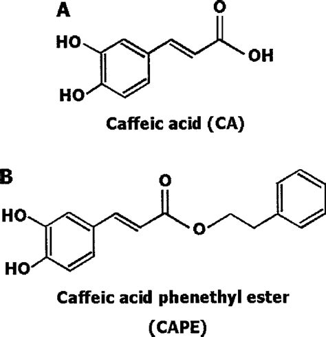 Molecular Structure Of Caffeic Acid A And Caffeic Acid Phenethyl