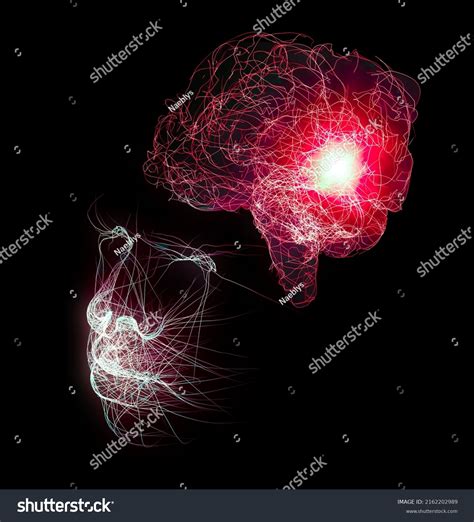Synapse Connections Structure That Permits Neuron Stock Illustration 2162202989 Shutterstock