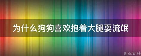 为什么狗狗喜欢抱着大腿耍流氓 业百科