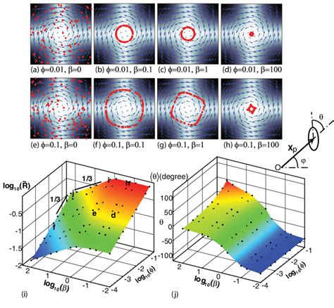 Color Online A H Spatial Distribution Of Microorganisms In