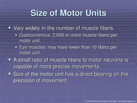 Ppt Chapter 4 The Neuromuscular Basis Of Human Motion Powerpoint