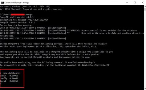 Run Mongodb Command Wdb24