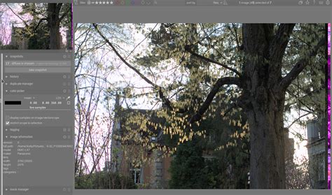 Panasonic Lx7 Garbage Pixels · Issue 14082 · Darktable Orgdarktable · Github